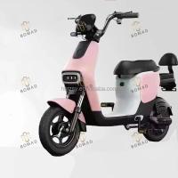 China 48V Electric City Bike with 20AH Battery Capacity and Brake Line Braking System Your Best Investment for sale