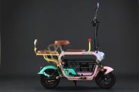 China Steel Frame Electric Mountain Mini Bike for Children's Outdoor Activities for sale