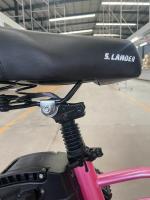 China Two-Wheel Foldable Electric Bicycle with Pedal and Electric Light Range per Power 60 km Charging Time 3 hours for sale