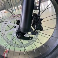 China 750w Motor Rear Hub Electric Powertrain for Lithium Battery Mountain Terrain Vehicle for sale