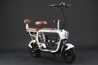 China 48V voltage folding ebike electric mountain mini bike for children's scooter for sale