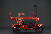 China 48V voltage folding ebike electric mountain mini bike for children's scooter for sale