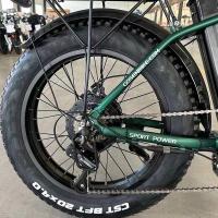 China 14-inch Electric Bicycle with Folding Design Rear Wheel Disc Brake 20*2.8
