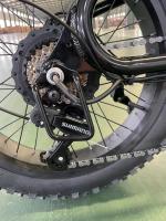 China Electric Power Boosted 20 Inch Mountain Electric Bicycle with 18 Speed Gears and 50-60 Nm Torque for sale