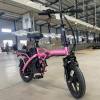 China 36v Storage Battery Adult Folding Electric Bicycle with Rear Hub Motor and Compact Design for sale