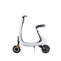 China Rear Hub Motor Equipped Small Electric Scooter with LEAD-ACID BATTERY Power Supply for sale
