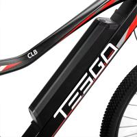 China Fast Charging 240w Motor Electric City Bike with Lithium Battery Power Supply and 3 hours Charging Time for sale
