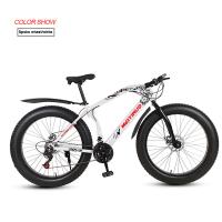 China 2024 Mountain Bike Big Tire Electric Bicycle with 11 ah Battery Capacity and Rear Wheel Disc Brake for sale
