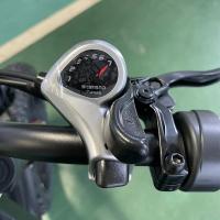 China 2024 Electric Bicycle with Aluminum Alloy Frame and Long-Lasting Lithium Battery for sale
