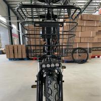 China Fat Tire Mountain Bike 26 Inch Lithium Battery 7 Speed 200kg for Range per Power 60 km and Motor position Central Motor for sale