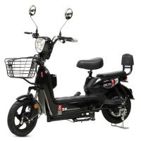 China City Bicycle Electric Bikes for Adult Charging Time 3 hours 7 Speed Gears for sale