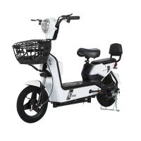 China Customized Color Energy Saving Skate Cycle Electric Folding Bike Foldable E-Bike for Your Requirements for sale