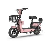 China Introducing Integrated Battery Energy Saving Electric Scooter Cycle Foldable Electric Bike 20000w E-Bike Max Load 200kg for sale