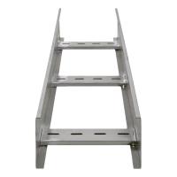 China Strong Load Bearing Capacity Ladder Type Galvanized Cable Tray For Electric Wire Management for sale