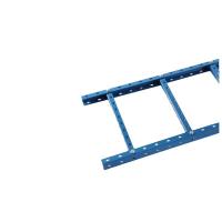 China Galvanized Cold Rolled Steel U Shaped Ladder Cable Tray Bridge Rack For Data Center for sale