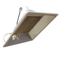 China Energy Saving Poultry Brooder Heater 2.46KW Low Consumption Chicken Gas Brooder for sale