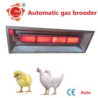 China Poultry Gas Heat Lamp Purple Horn6808 3.9kW Auto Ignition for Chick Brooding for sale