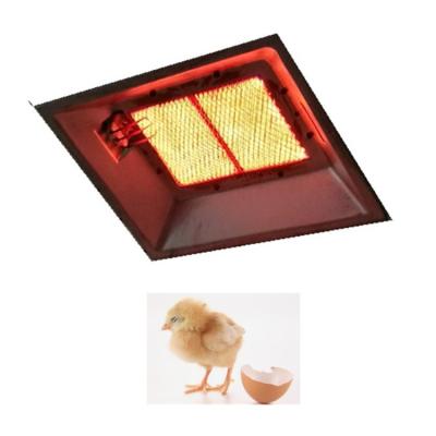 China Wall Mounted Infrared Brooder Heater 2.46kW Ceramic Heater for Birds Purple Horn2608 for sale