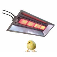 China Purple Horn6808 Pig Poultry Brooder Heater Wall Mounted Infrared Gas Brooder for sale