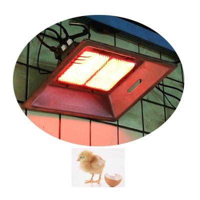 China Portable Poultry Brooder Heater Infrared Gas Heater 2.46 kW 2116 Kcal/hr Purple Horn2608 for sale