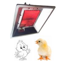 China Incubator Infrared Gas Brooder CE Certificated For Chick Animal Husbandry for sale