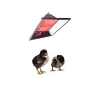 China Incubator Infrared Gas Brooder CE Certificated For Chick Animal Husbandry for sale