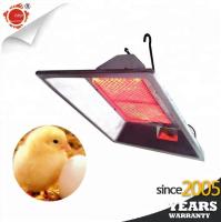 China CE Infrared Gas Chicken Brooder Heater Catalytic Poultry House Heating System for sale
