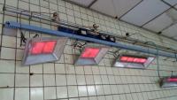 China Poultry Farm Gas Brooder Heater Purple Horn2608 320x270x130mm LPG Natural Gas for sale