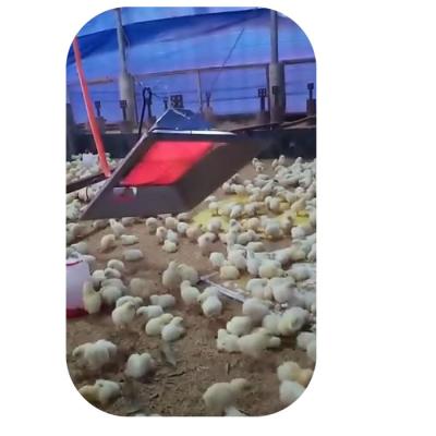 China Chicken Farm Poultry Brooder Heater 4 model For Pig Chick Shed Safty for sale
