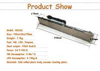 China Industrial Catalytic Gas Oven Burner HD262 8 Second Ignition for Powder Coating Curing for sale