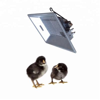 China Purple Horn2608 Brooder Gas Heater Energy Saving Baby Chicks Poultry Heating System for sale