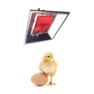 China Infrared Gas Brooder Heat Lamp for Chicks 11000hrs Lifetime 20% Energy Saving Purple Horn for sale