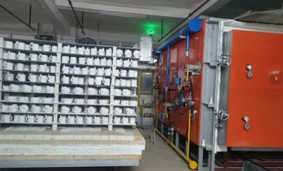 China Shuttle Kiln Full Automatic PID Temperature Control Customizable Volume Electric Gas Coal Biomass for sale