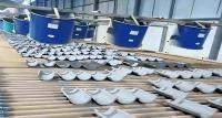 China Continuous Firing Cycle Roller Kiln Customizable Max Temperature 1200°C Full Automatic for sale