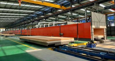 China Tunnel Kiln Direct Reduced Iron 30000-200000 TPY High Efficiency Eco-Friendly DRI for sale