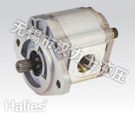 China Hydraulic Gear Pump HPV116 for sale