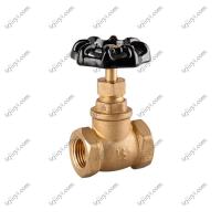 China Brass Globe Valve for sale