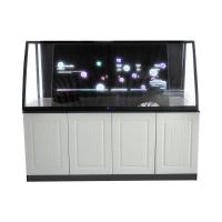 China OLED Screen 55inch Transparent  Cabinet for Bread or Cake Advertising Display Digital Signage Monitor Transparent OLED for sale