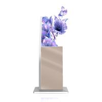 China 30inch Hot Selling Digital Signage Floor Standing Transparent OLED Screen Advertising Panel Transparent OLED TV for sale