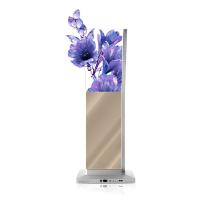 China 30inch Hot Selling Digital Signage Floor Standing Transparent OLED Screen Advertising Panel Transparent OLED TV for sale
