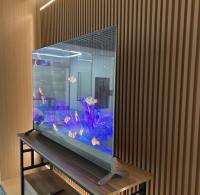 China Transparent OLED TV Transparent TV for sale