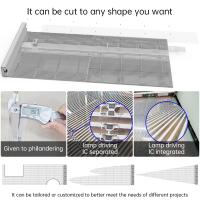 China Transparent Led Film Screen Adhesive Flexible Thin Indoor Advertising and Transparent Can Be Cut Highly Customized for sale