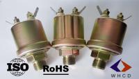 China 3025C 0-5bar Alarm0.5bar 10-184Ω M18X1.5 Oil Engine Pressure Transducer Heavy Vehicle for sale