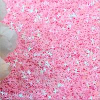 China Nail Beauty Products Over Sky Star Sequin Mixed Glitter Mixed Color Chunky Glitter with Thousand Choices Offered for sale