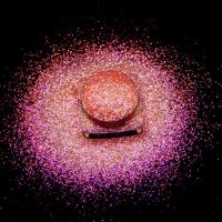 China Bulk Purchase Fine Glitter Powder Colorful Polyester Glitter for Cosmetic Products for sale