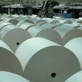 China Customized Printer Thermal Label Jumbo Roll Bpa Free for sale