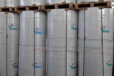 China Professional Durable Thermal Label Paper Roll For Various Labeling 3 Inch Core ≥5 Years Image Life for sale