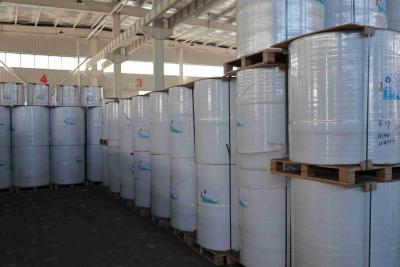 China BPA Free Focus Brand Thermal Paper High Smoothness Suitable Optical Density 100% Imported Wood Pulp for sale
