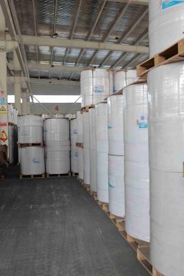 China Direct Thermal Print Technology Thermal Label Paper Roll Black Image ≥5 Years Image Life For Easy Label Printing Services for sale
