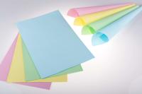 China 55gsm 305mm NCR Paper for sale